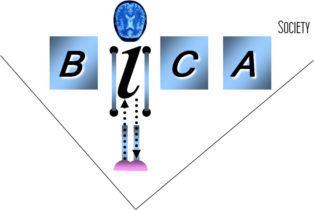 Biologically Inspired Cognitive Architectures for AI Society ...